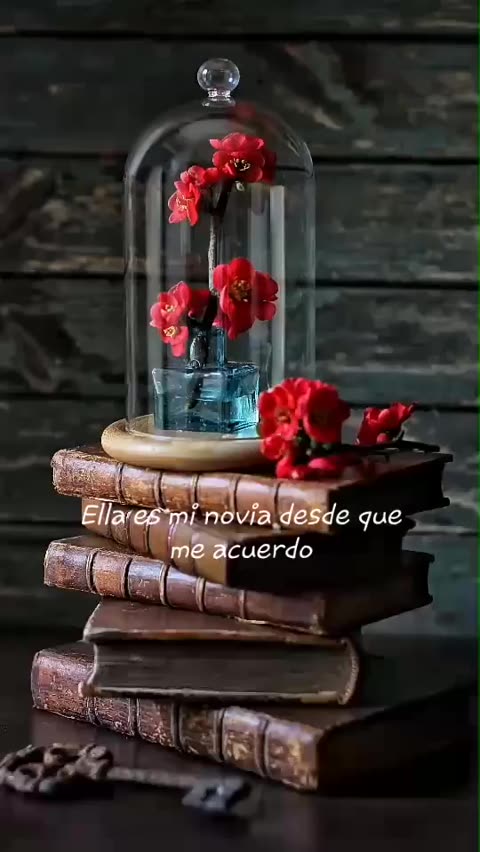 erome novia de llados