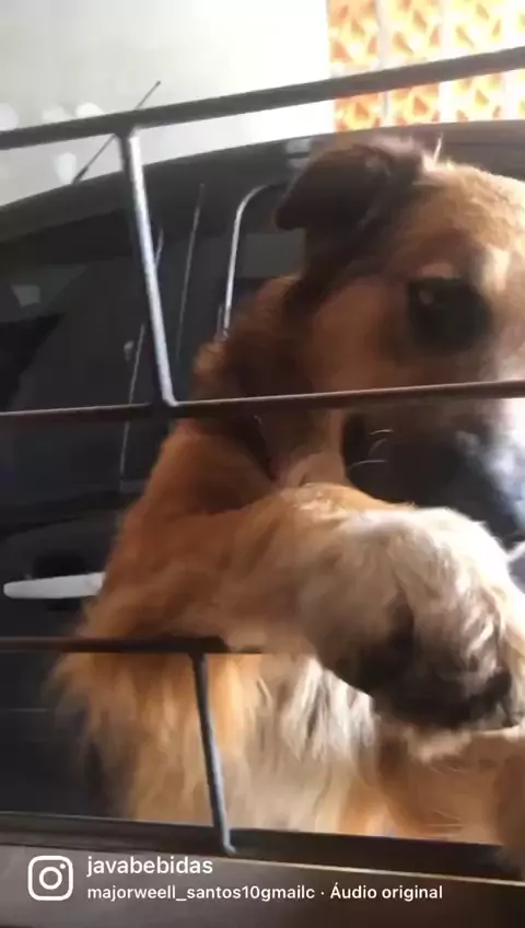 java audio | Discover