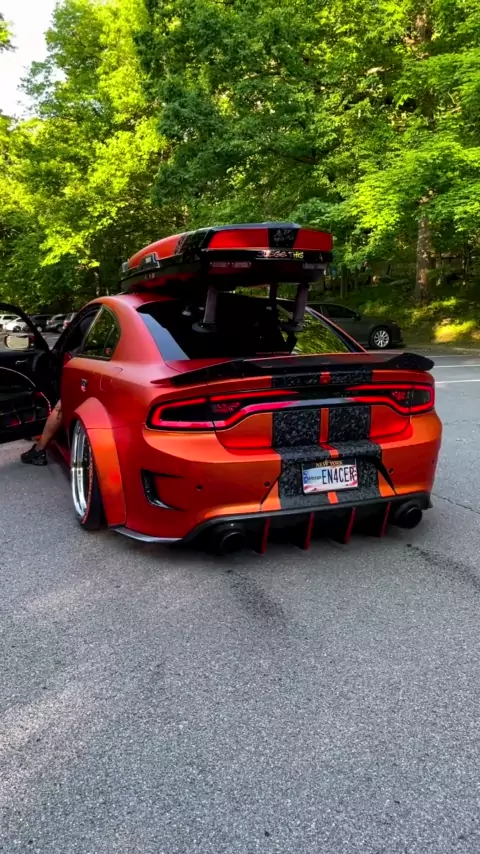 que es un hellcat animal | Discover