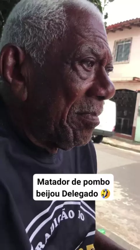 matador de pombo meme | Discover