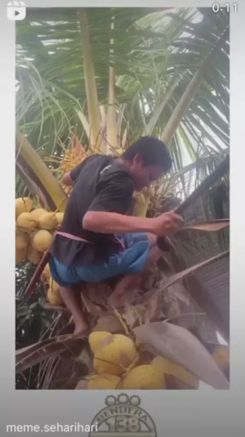 perkara sulit ini meme | Discover