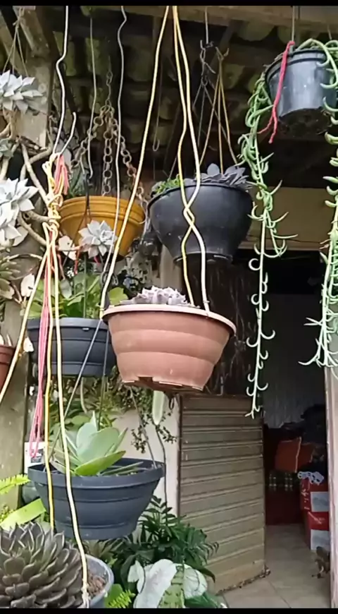 maria riveiro fapello | Discover