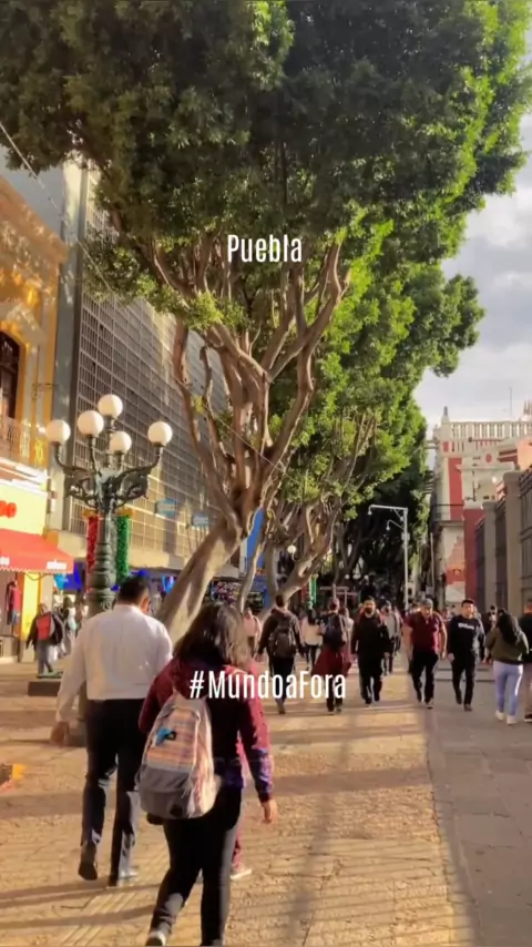 videos de meredith puebla