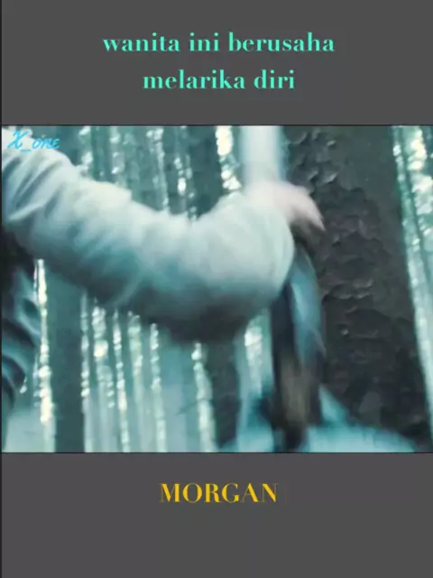 morgan lanexo x