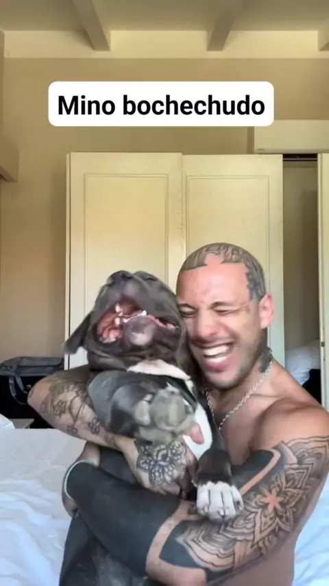 perro con mandibula chueca meme | Discover