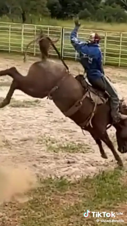 acha tobrut hd | Discover