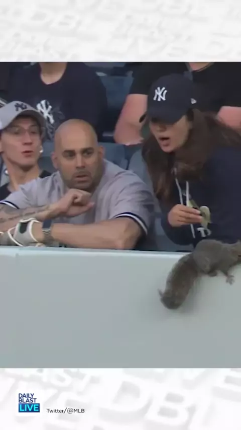 bokep live ome & ome live twitter| Discover