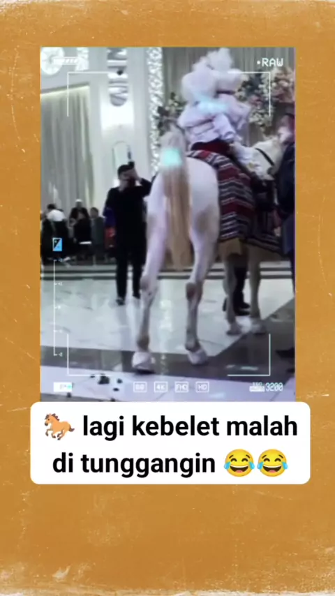 hijab pipis sotwe & intip cewek berak| Discover