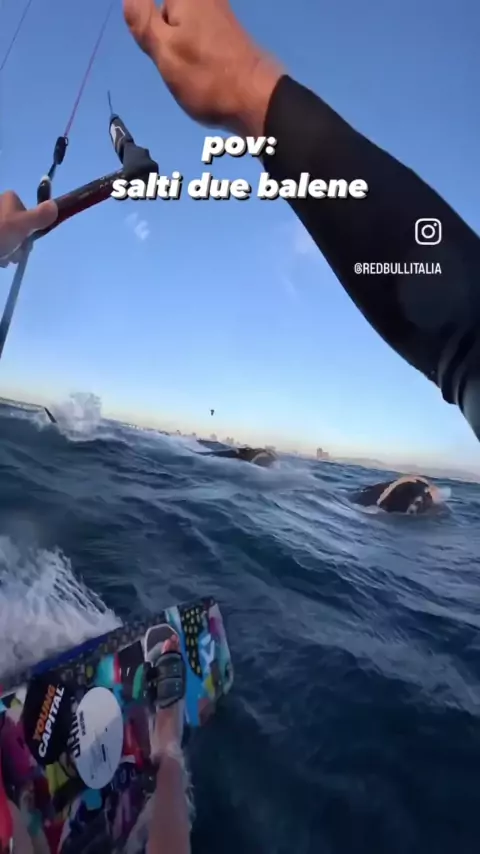 saltoxicdue3d | Discover