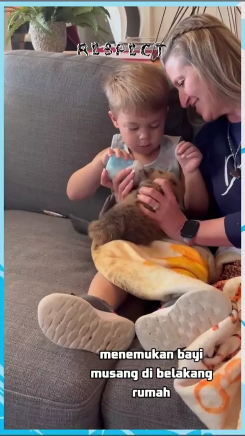 nonton brother musang