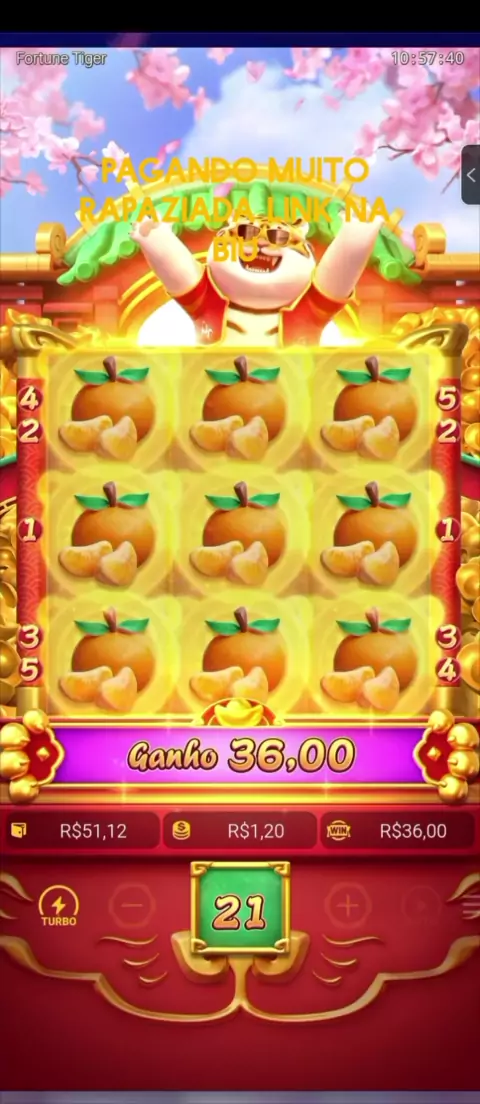 rara nadifa link | Discover