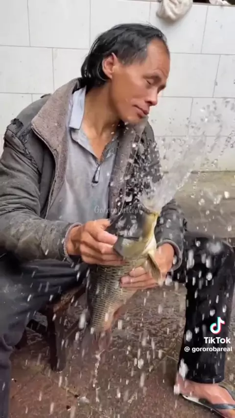 forogore devora bessa