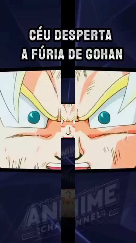 furia anime:a furia de gohan