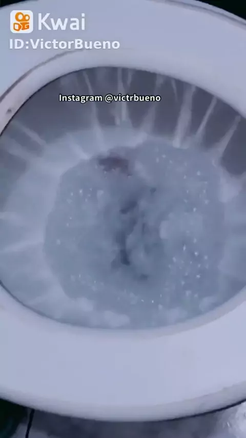 vicc maria instagram