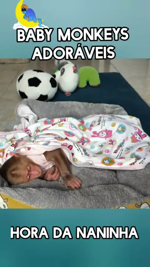 monkey brain stimulation meme