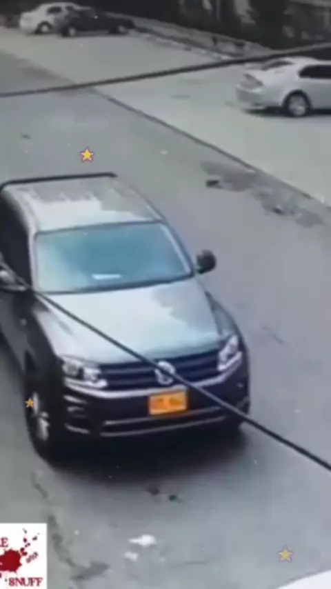 snurrf73 & r73 goresee snuffy| Discover