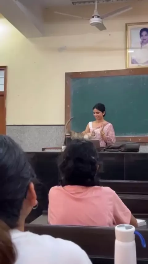 wowne wa & student wowne.ws| Discover