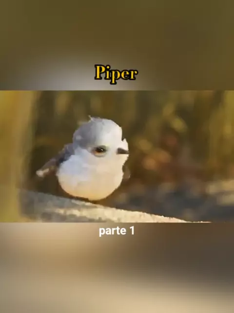 piper perri surrounded meme template