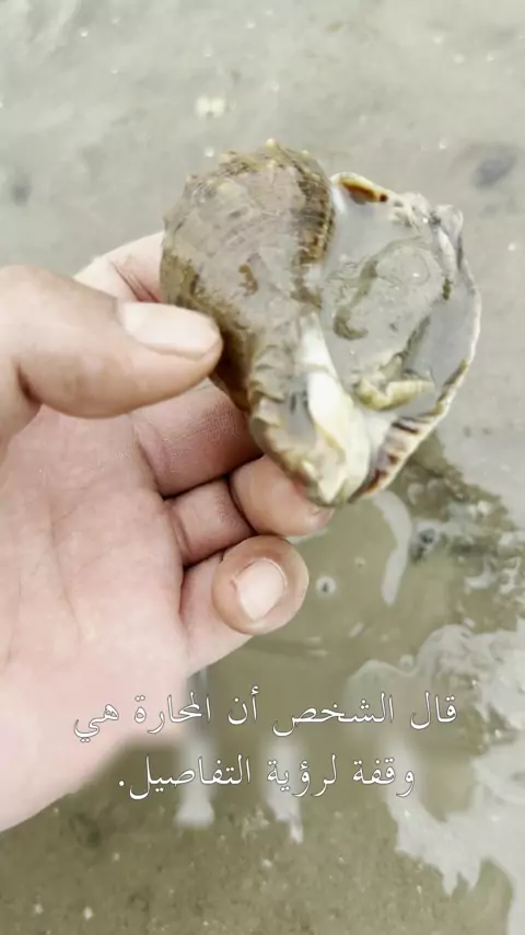 duda cardoso pelada & yuni duda nua| Discover