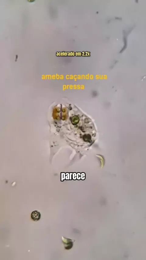 captain ameba full videos