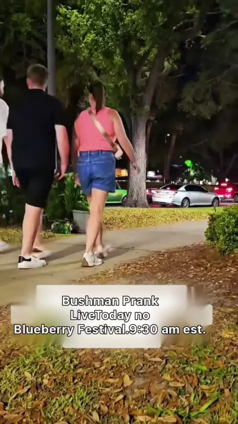 bokep indo mlive arsip prank ojol