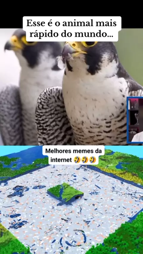 kawaki meme & os melhores memes do kawaii| Discove ...| Kwai