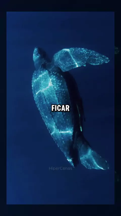 navio do titanic:a profundidade máxima do oceano ...| Kwai