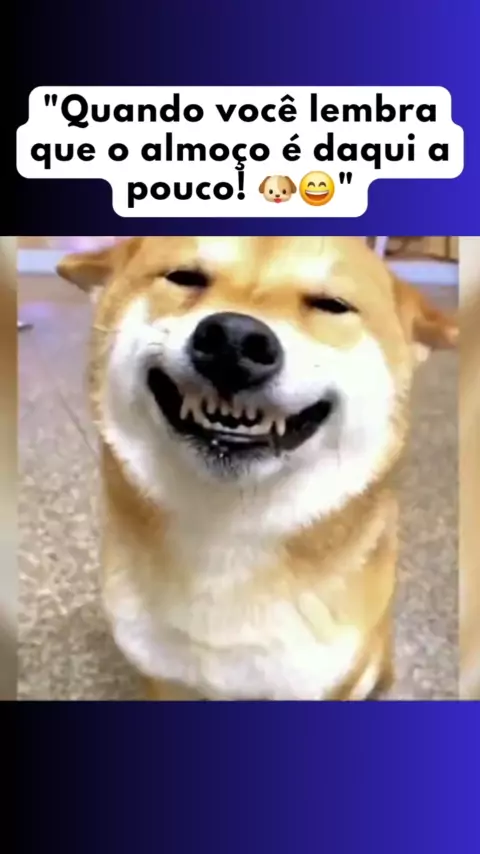 gif cachorro rindo:cachorros sorrindo! 🤣
