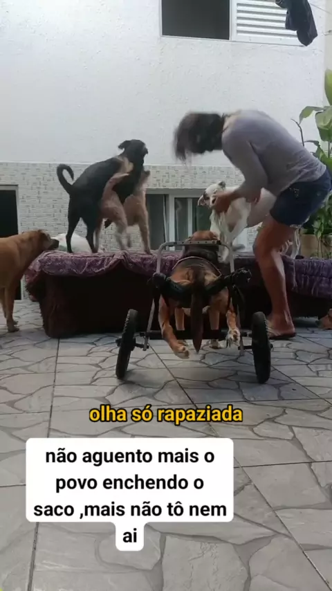 Explicação doenchendo o saco meme