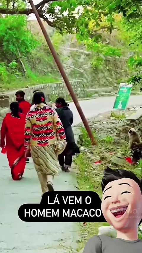 Explicação domeme o homem macaco