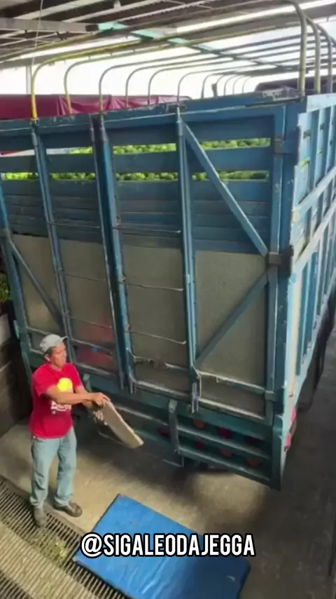 leo da jegga riley reis:me sigam no instagram