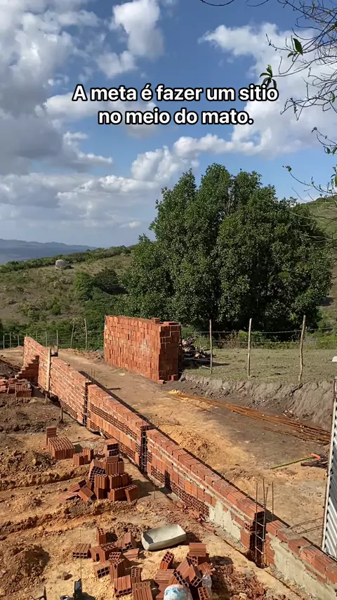 ingryd:a meta é fazer um sítio no mato 🥹