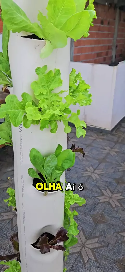 horta em cano pvc vertical:cultivando em tubos: um ...| Kwai