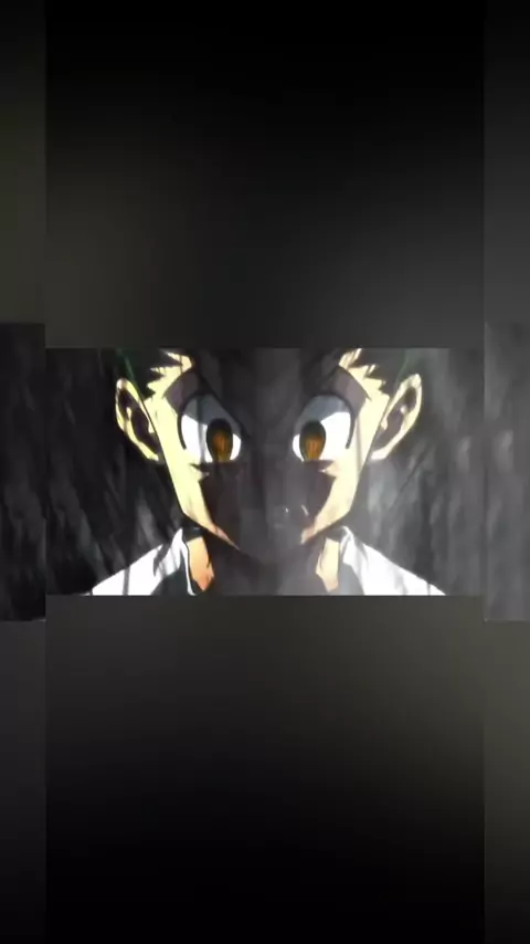 gon x killua ship:gon e toda a sua irá