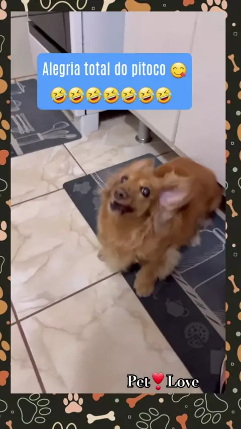 E de quem é a comida do pitoco,come a comida do pi ...| SnackVideo